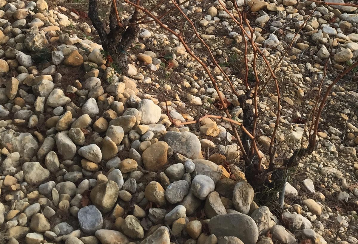 Talking about MINERALITY | Le rouge et le blanc