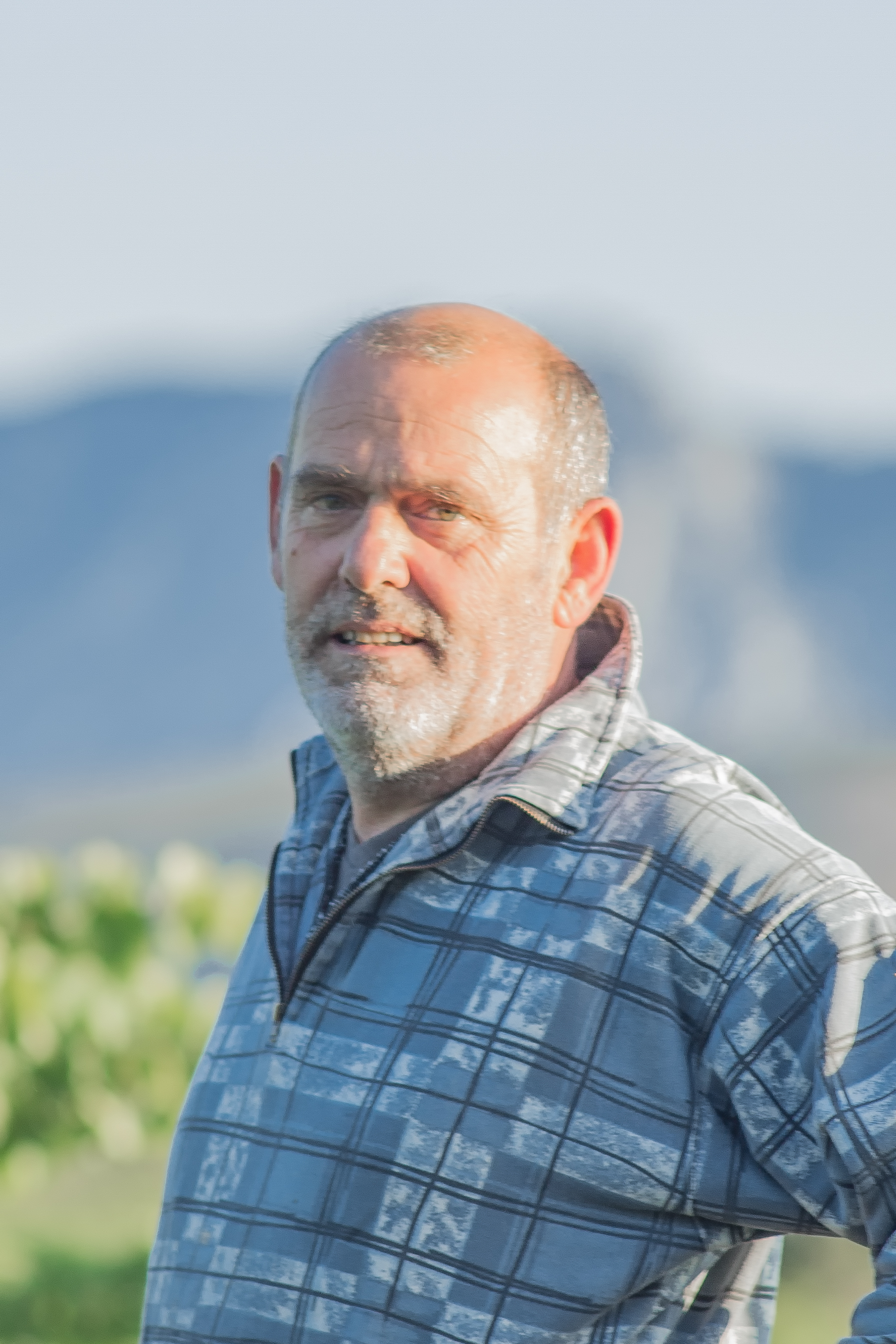 Le Carignan : cépage maudit ou cépage magique ? | Le rouge et le blanc